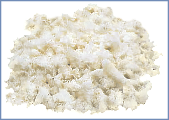 OraGRAFT® Mineralized Cancellous Bone – Salvin Dental Specialties